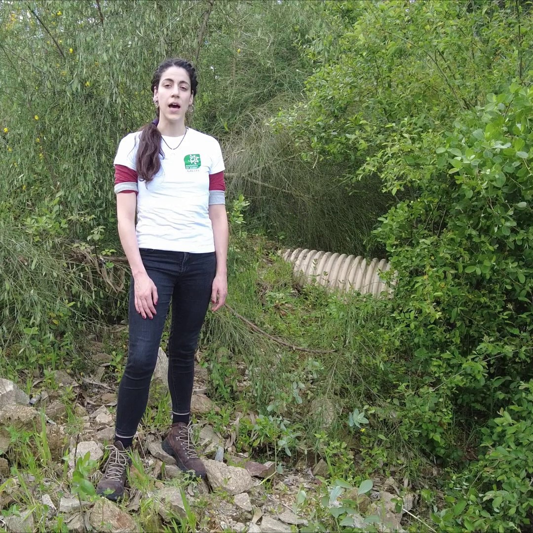 Denuncian vertidos fecais nos mananciais da traída de Mos dende a ...